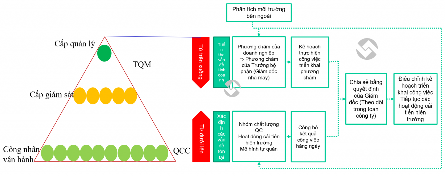 Đào tạo QCC – Vòng tròn kiểm soát chất lượng - Tư vấn VJIP